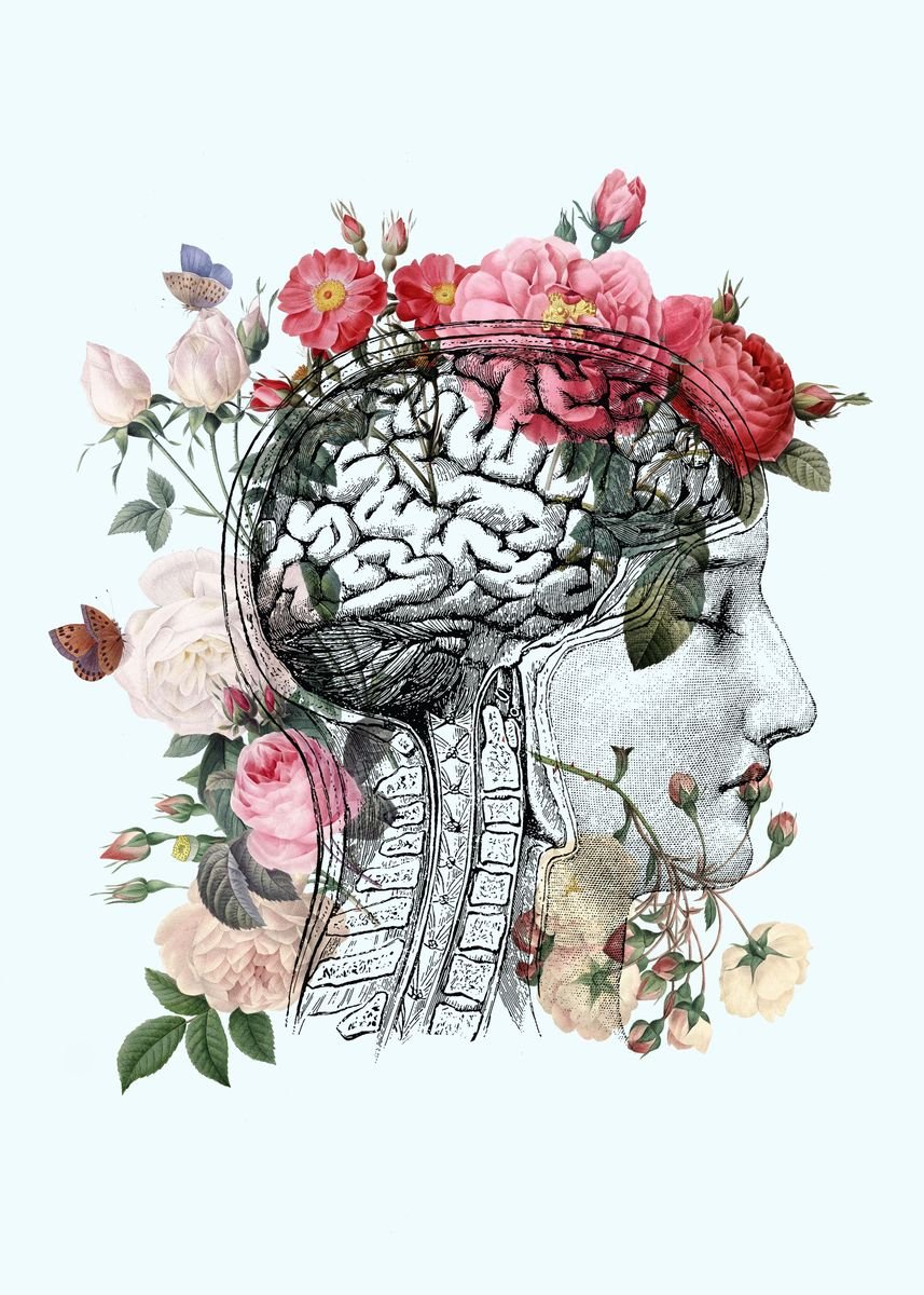 'The Beautiful Brain' Poster by Catherine Holcombe | Displate