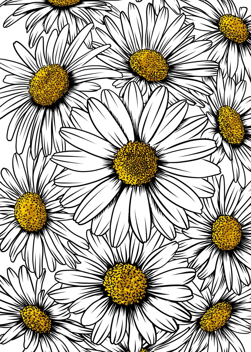 'Daisy wall' Poster, picture, metal print, paint by Giordano Aita ...