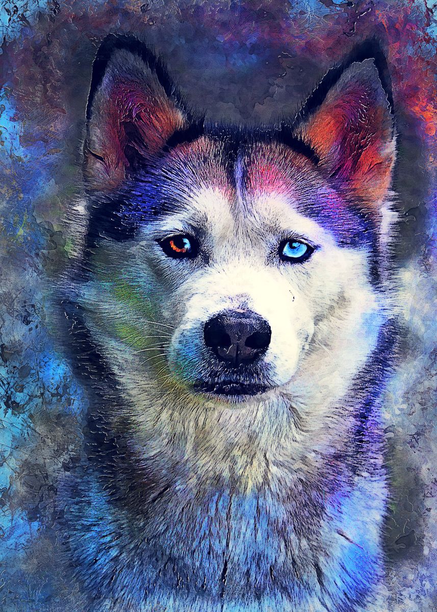 'Dog Husky' Poster, picture, metal print, paint by JBJart Justyna ...