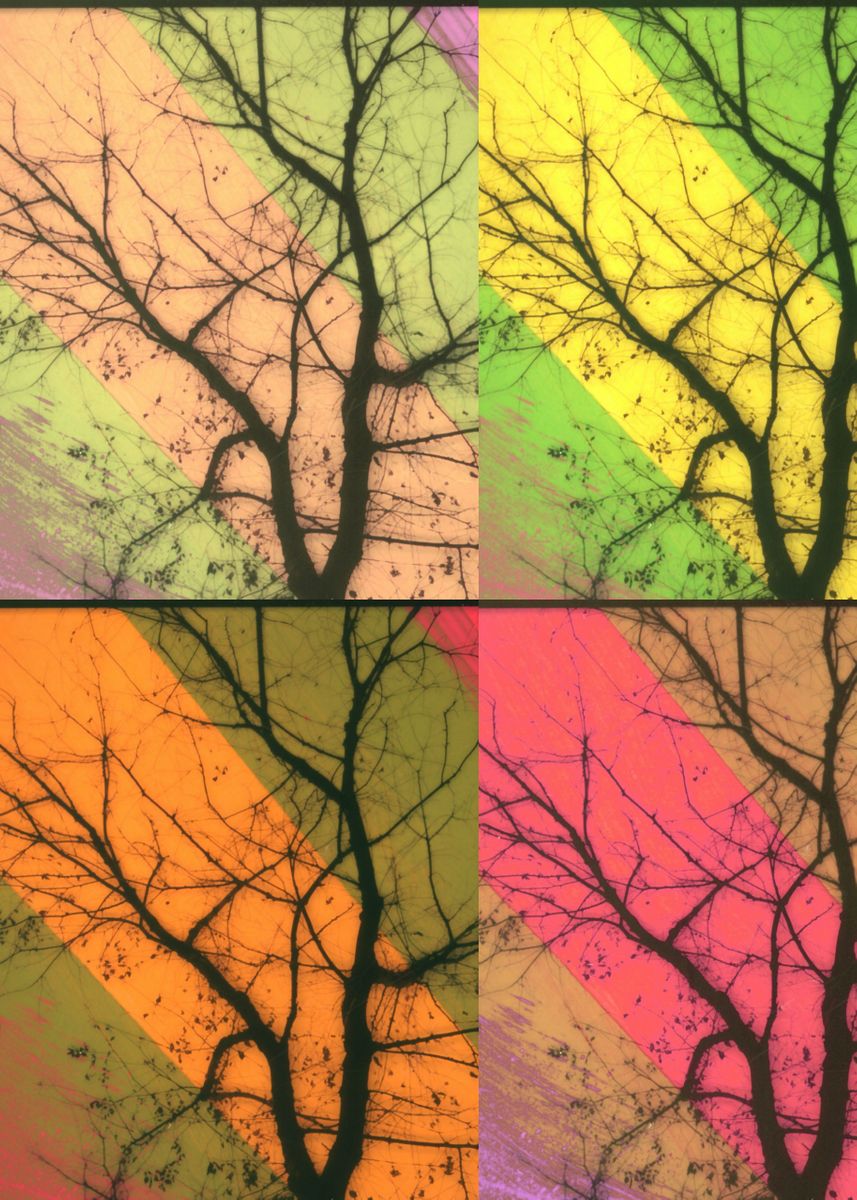 'Central Tree Collage Summer' Poster, picture, metal print, paint by ...