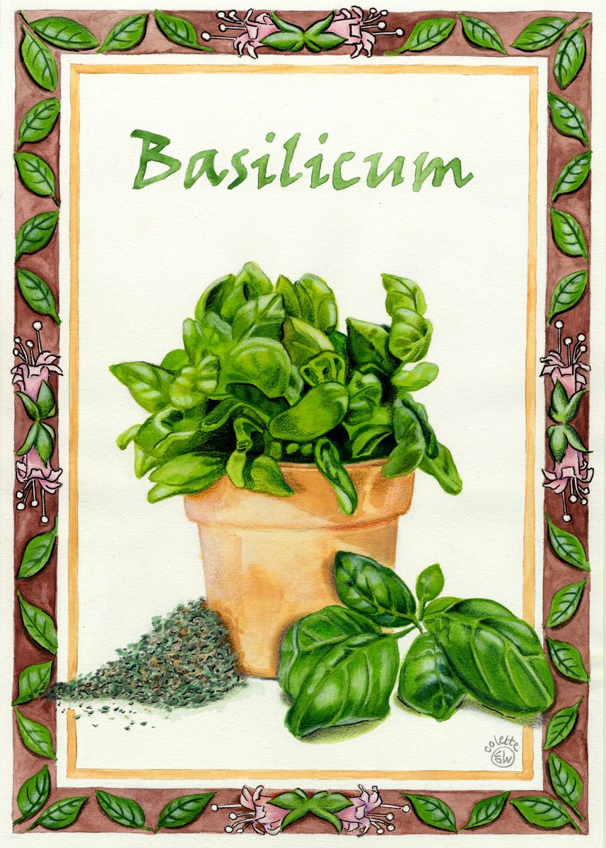 'Basilicum' Poster, picture, metal print, paint by Colette van der Wal ...