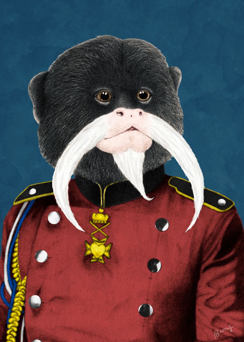 'Emperor tamarin' Poster, picture, metal print, paint by Barruf ...