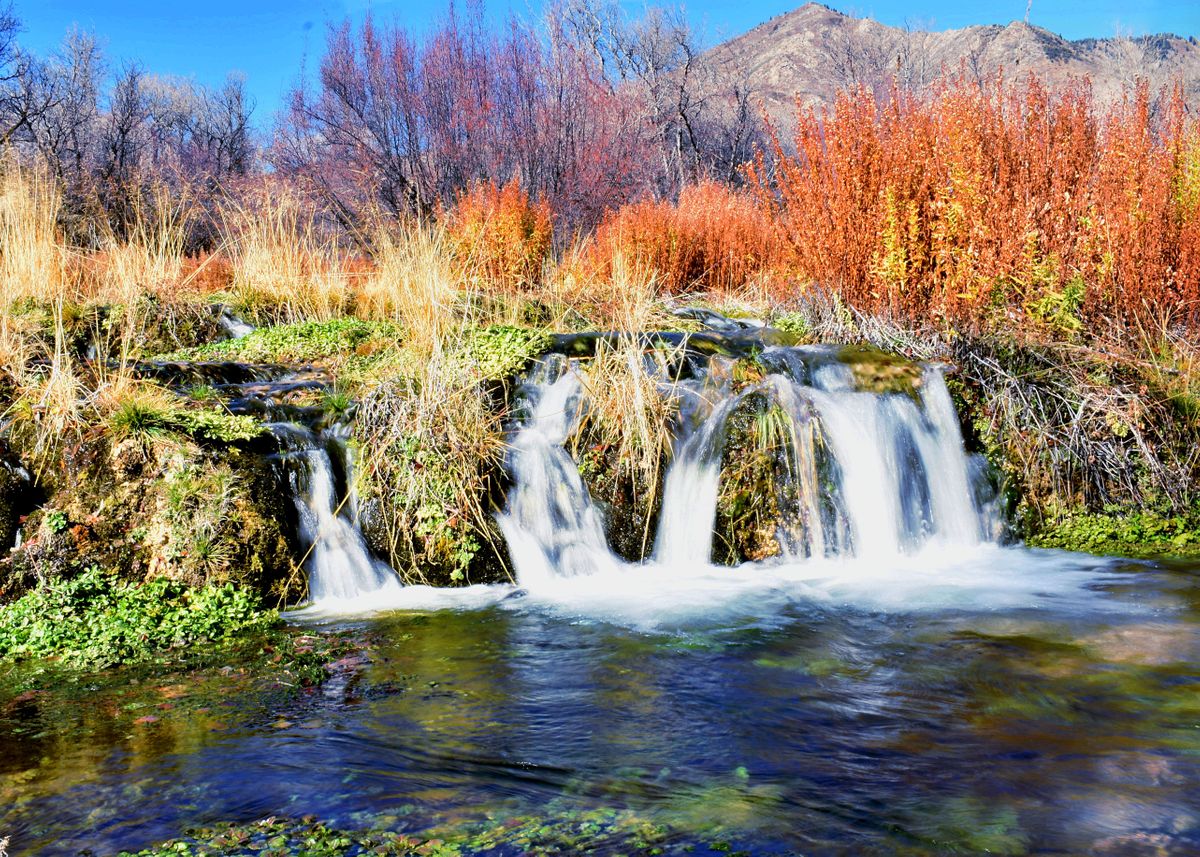 'Utah's Spring' Poster by Danielle Boutte | Displate