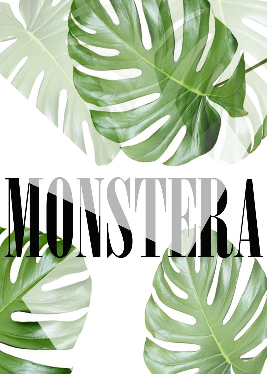 'Monstera' Poster, picture, metal print, paint by Milka Mazurek | Displate
