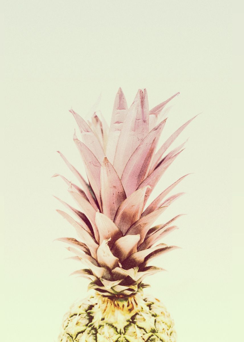 'PASTEL PINEAPPLE no1a' Poster, picture, metal print, paint by Pia ...