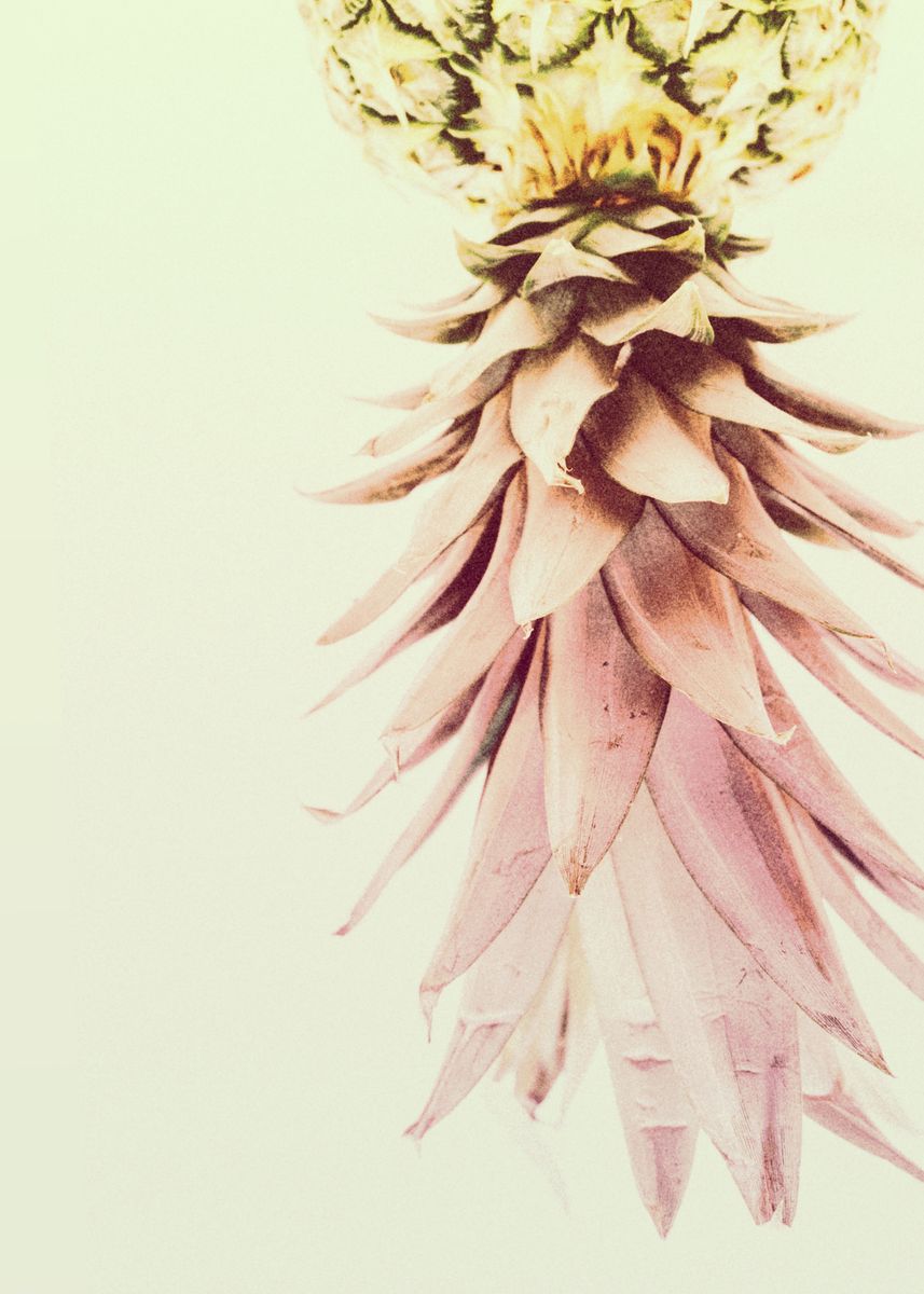 'PASTEL PINEAPPLE no1d' Poster, picture, metal print, paint by Pia ...