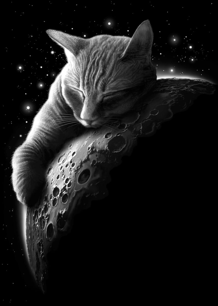 'MOONCAT' Poster, picture, metal print, paint by Adam Lawless | Displate