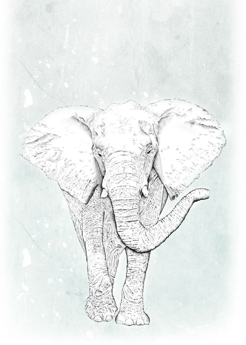 'White Elephant' Poster, picture, metal print, paint by Keren Boshi ...