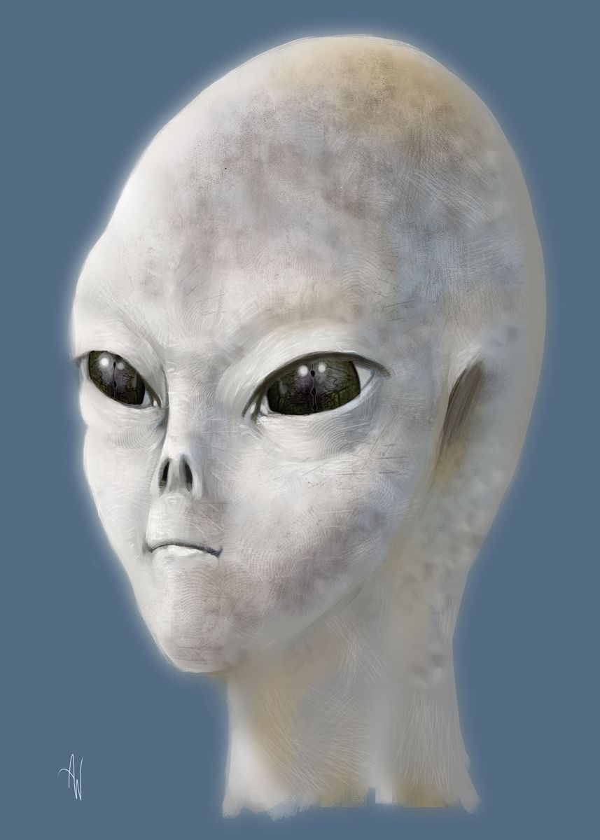 'Gray Alien' Poster, picture, metal print, paint by Arie Vanderwyst ...