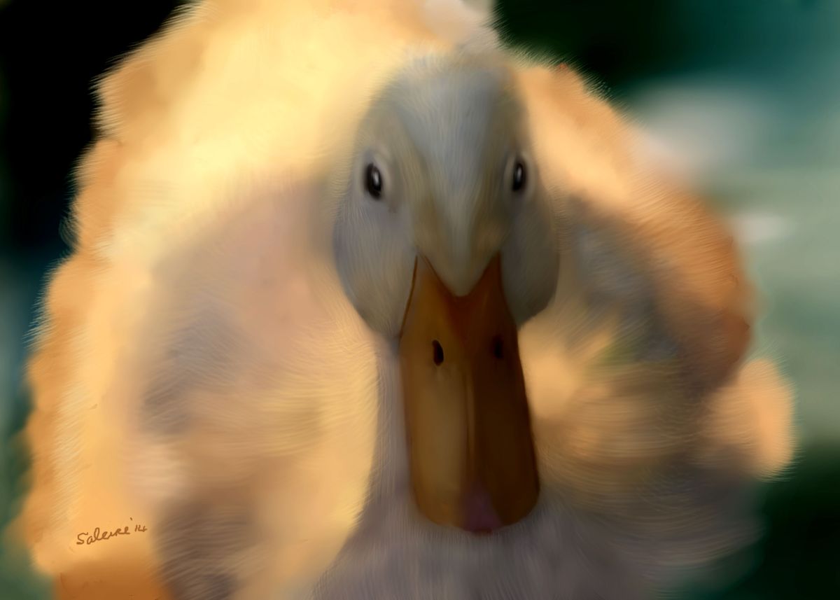 'Fuzzy Duck' Poster by Sarah Tracy | Displate