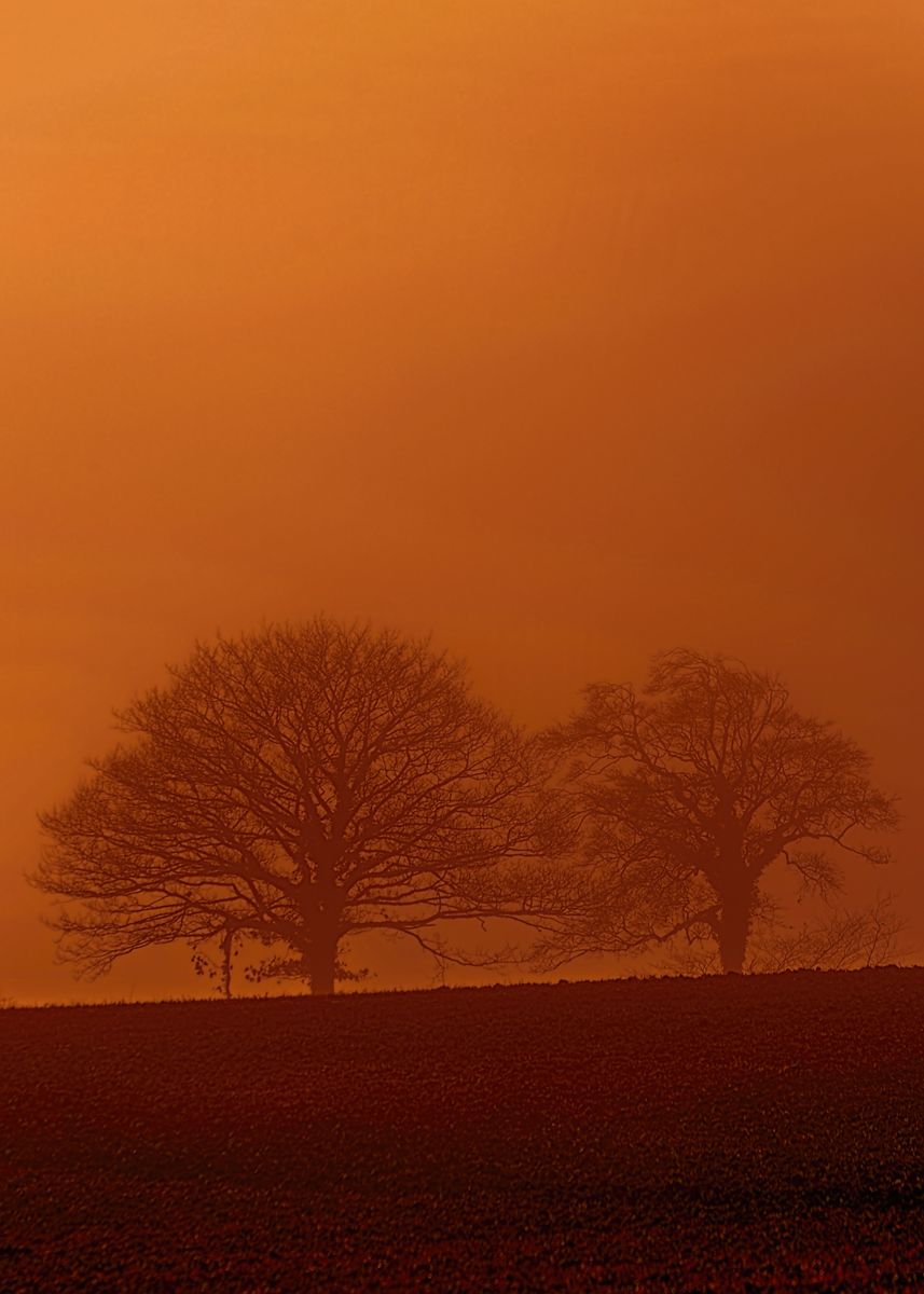 'Devon Fog 5' Poster by David Crosby | Displate