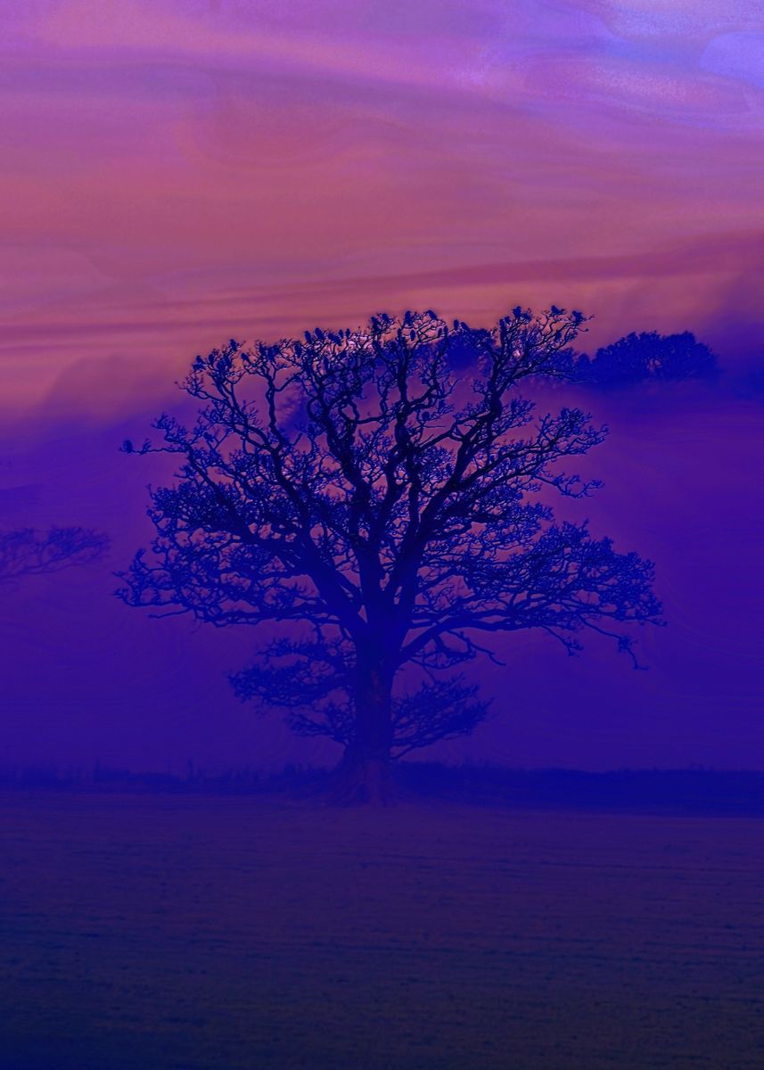'Devon Fog 1' Poster, picture, metal print, paint by David Crosby ...