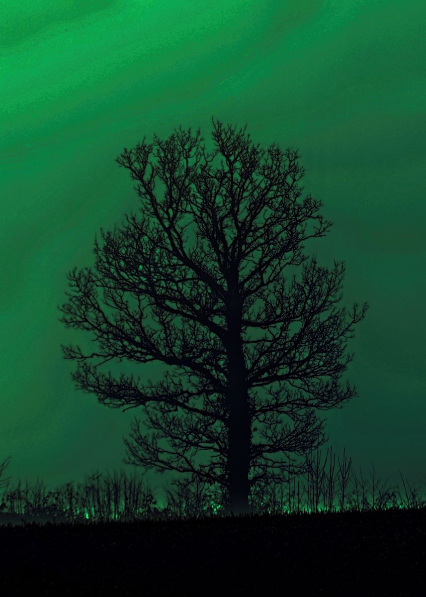 'Devon Fog 3' Poster, picture, metal print, paint by David Crosby ...