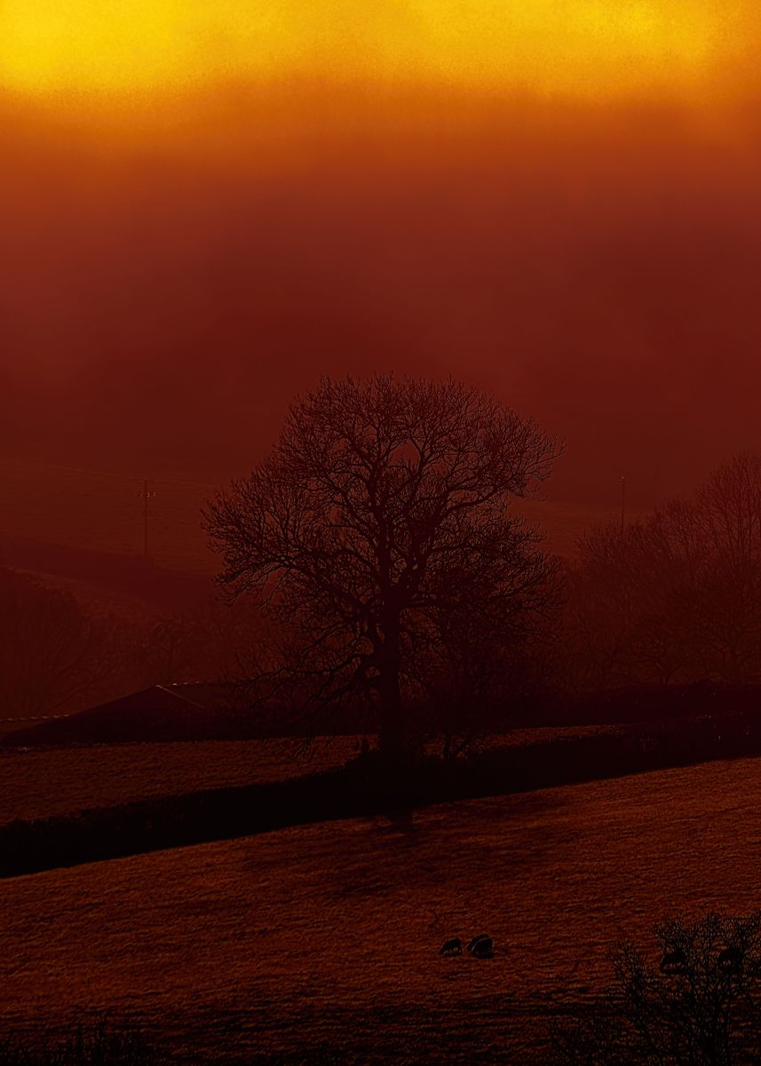 'Devon Fog 6' Poster, picture, metal print, paint by David Crosby ...