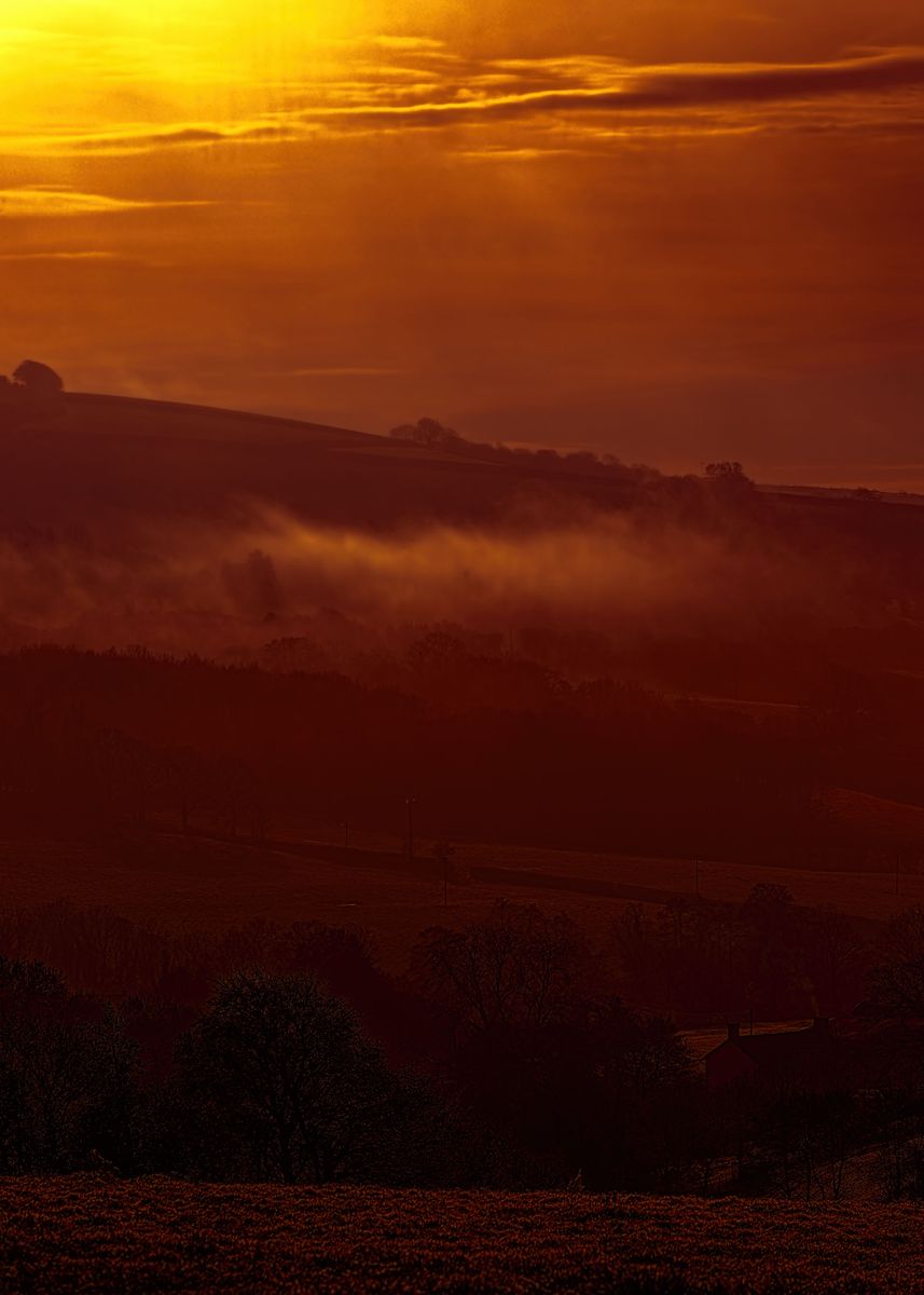 'Devon Fog 26' Poster, picture, metal print, paint by David Crosby ...