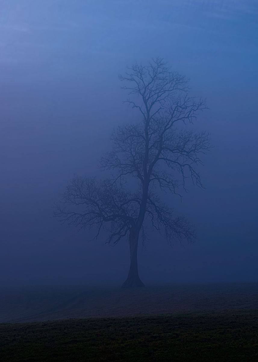 'Devon Fog 20' Poster, picture, metal print, paint by David Crosby ...