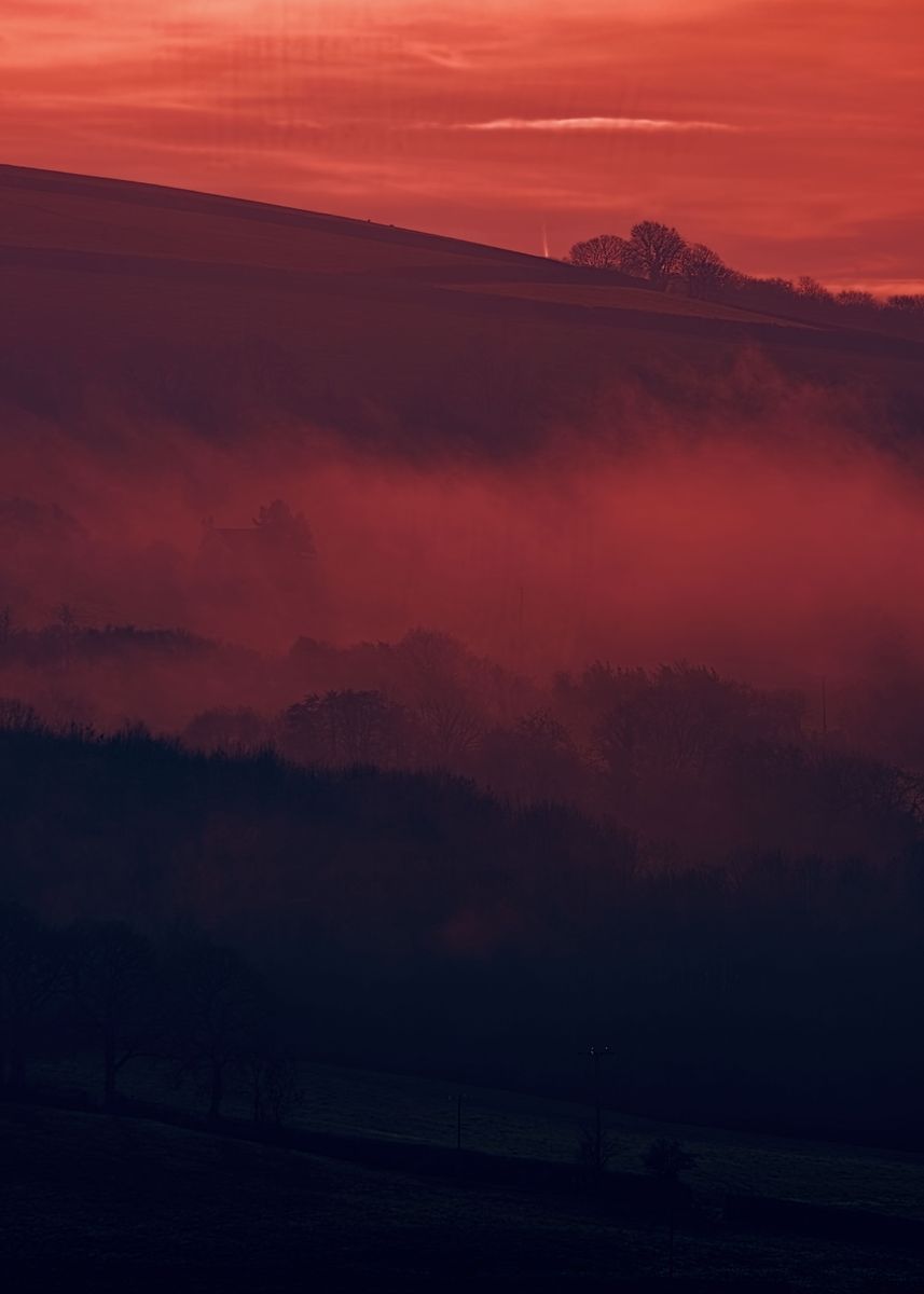 'Devon Fog 24' Poster, picture, metal print, paint by David Crosby ...