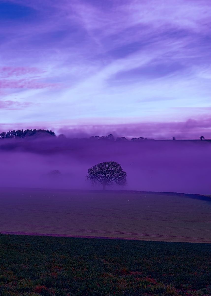 'Devon Fog 19' Poster, picture, metal print, paint by David Crosby ...