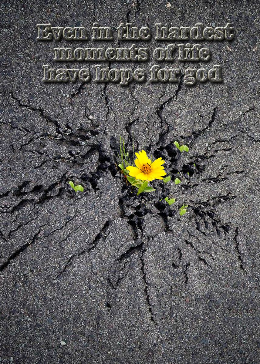 ' hope for god' Poster by narges hatami movahed | Displate
