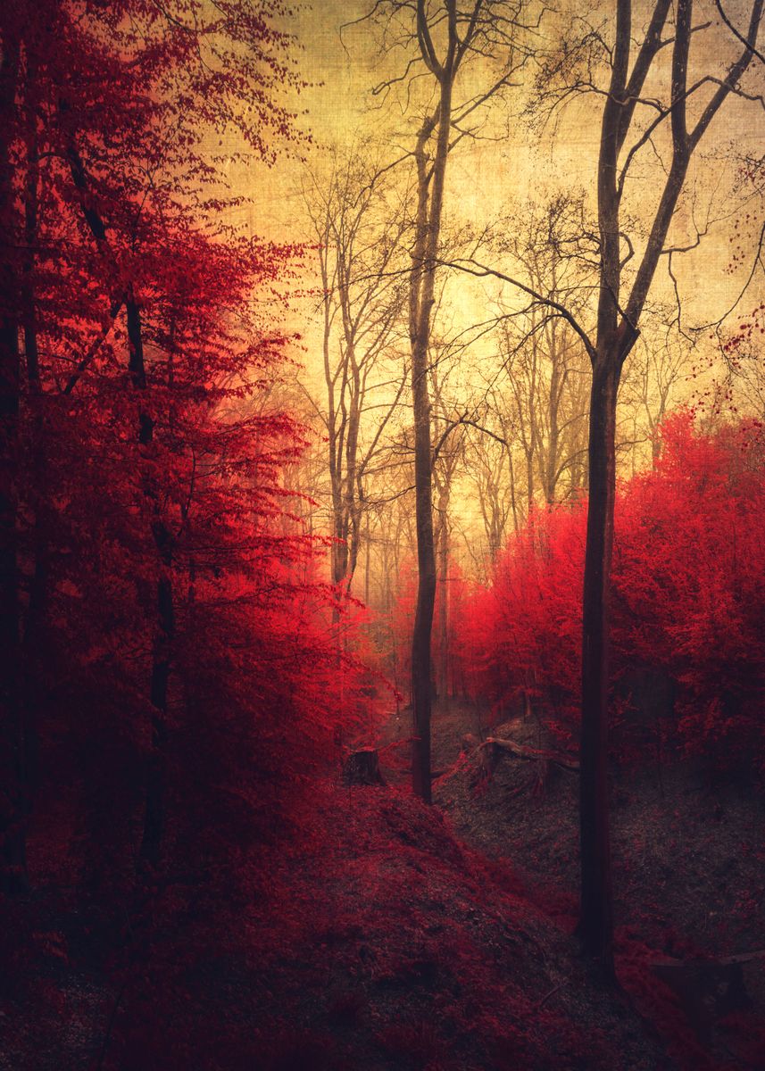 'ruby red forest' Poster, picture, metal print, paint by Dirk ...