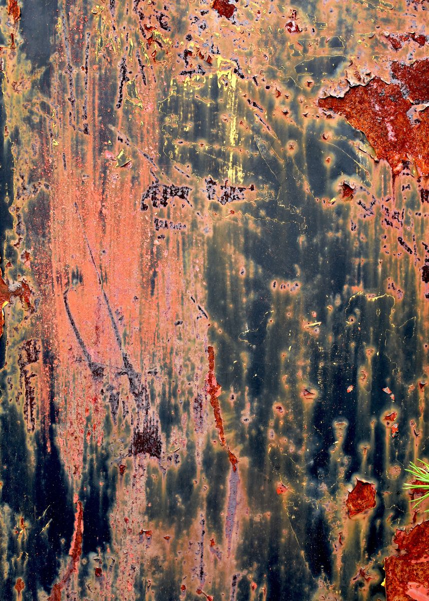 'Decay' Poster, picture, metal print, paint by Anki Hoglund | Displate