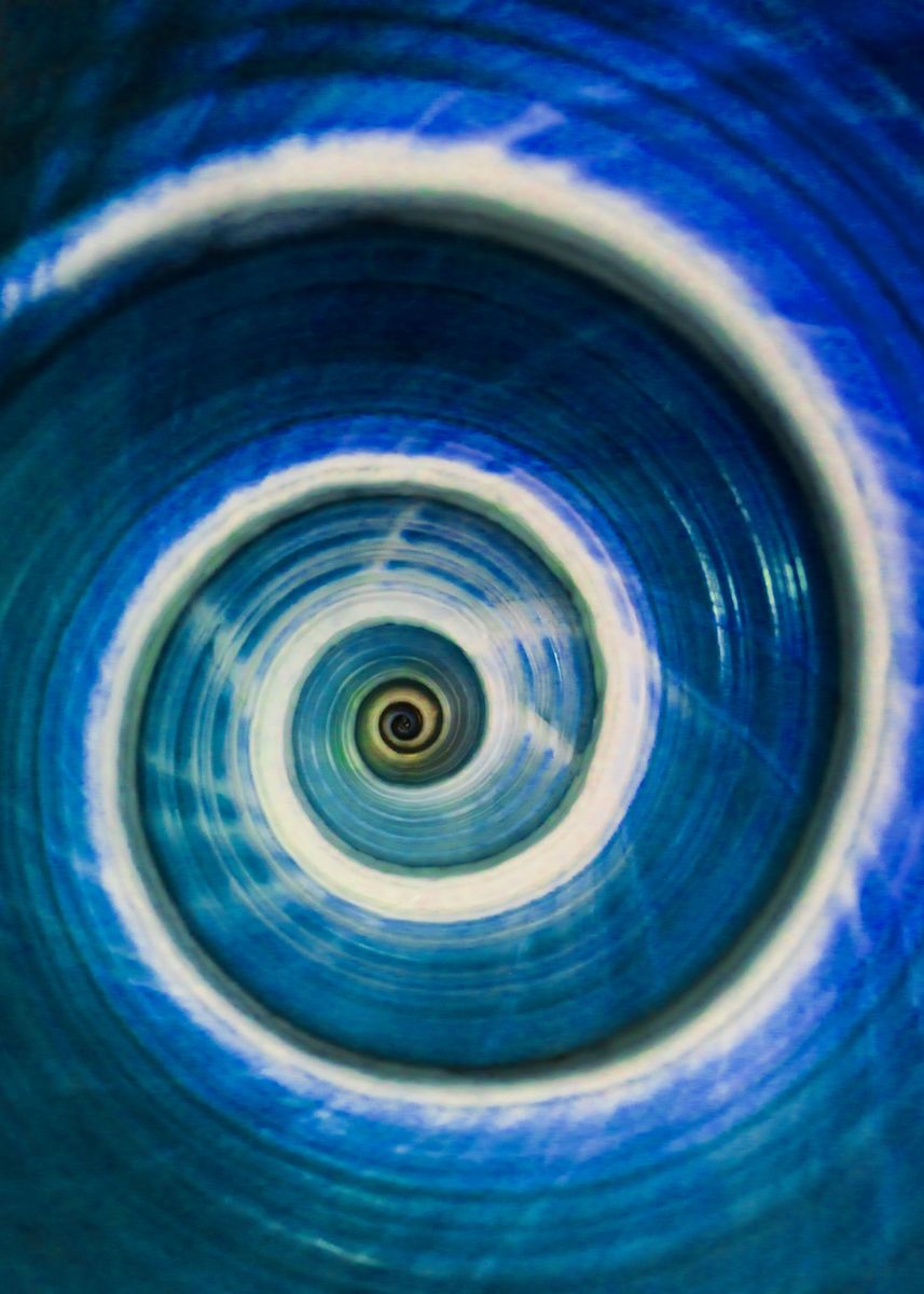 'Blue and white spiral snail shell' Poster, picture, metal print, paint ...