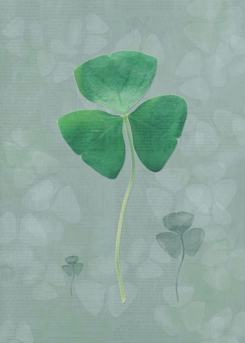 'Clover' Poster by Star Stary | Displate