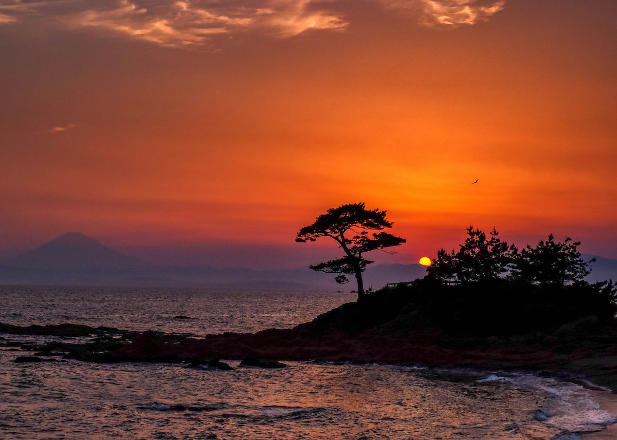 'Sunset at Tateishi park' Poster by manuel Alvarez | Displate