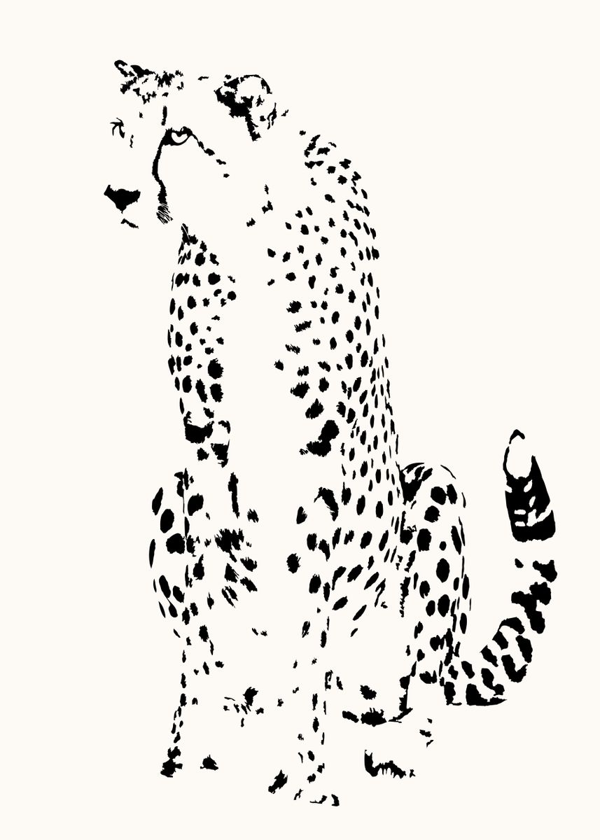 'Alert Cheetah on Haunches' Poster by Scotch Macaskill | Displate