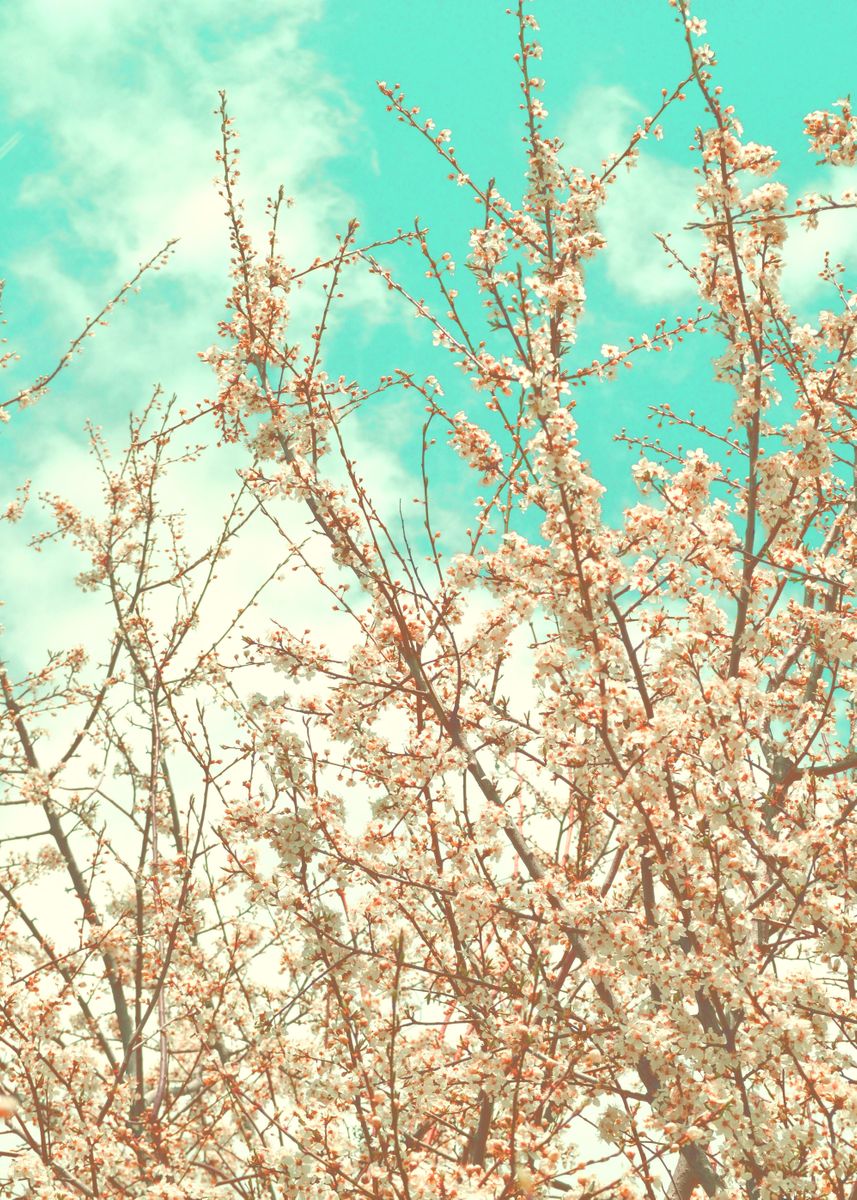 'Tree blossoms' Poster by Joanna ARTbyJWP | Displate