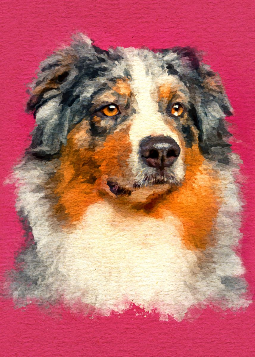 'Australian Shepherd ' Poster, picture, metal print, paint by Lioudmila ...