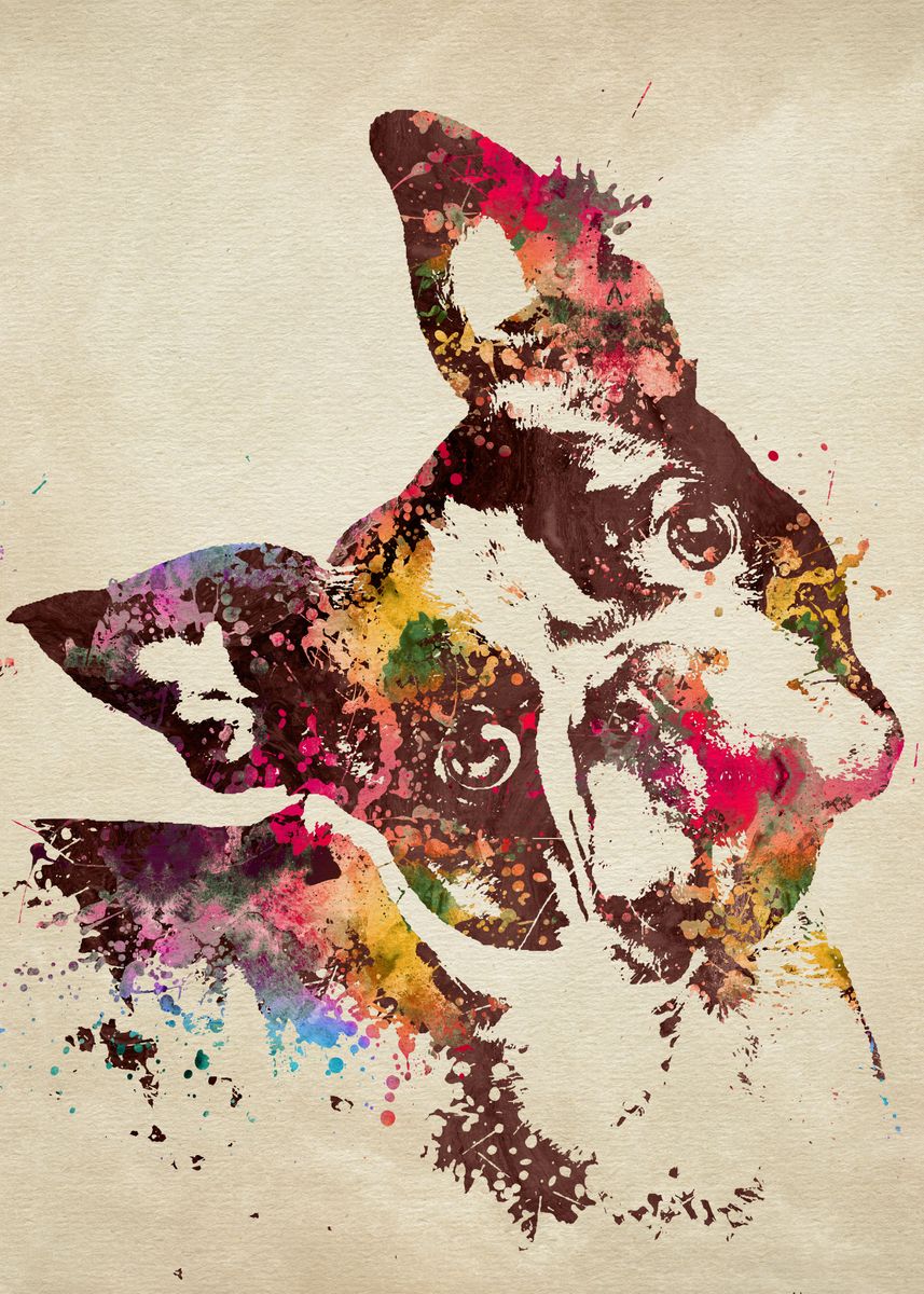 'Boston Terrier' Poster, picture, metal print, paint by Lioudmila Perry ...