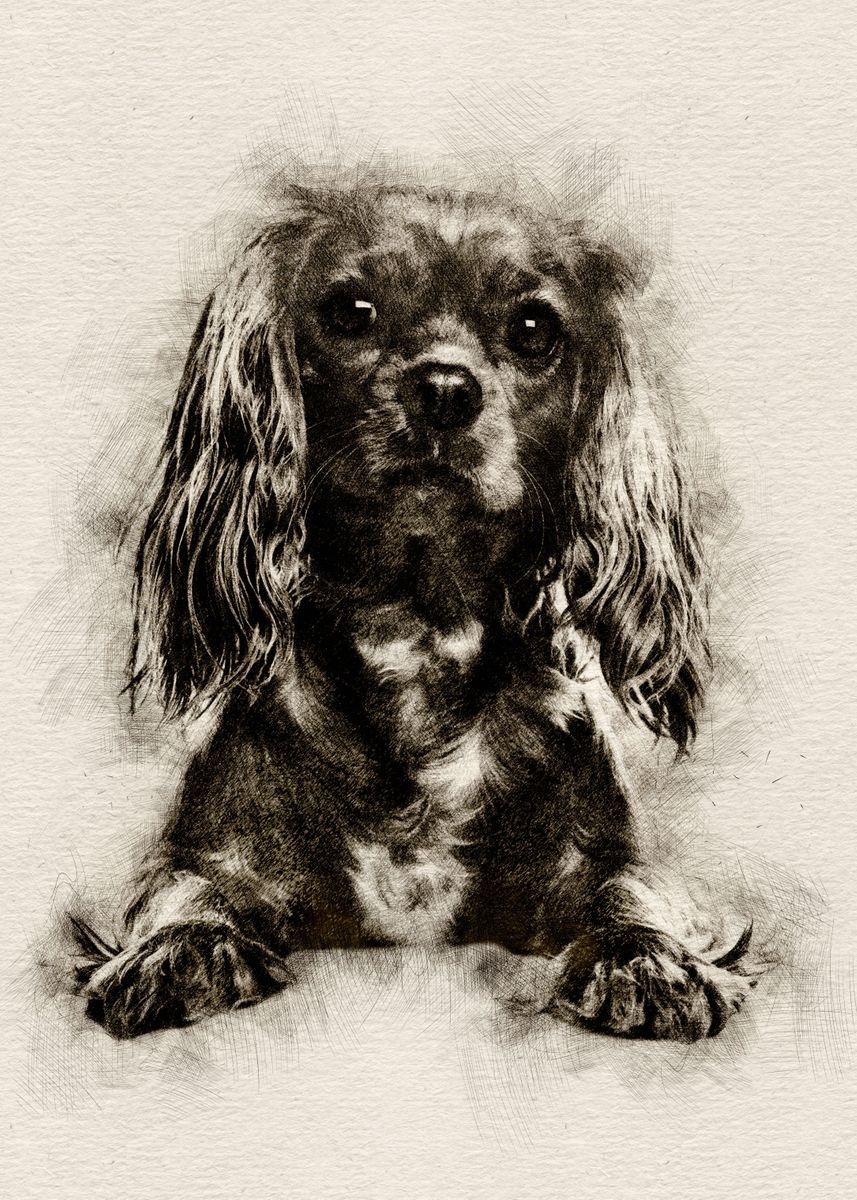 'King Charles Spaniel' Poster by Lioudmila Perry | Displate