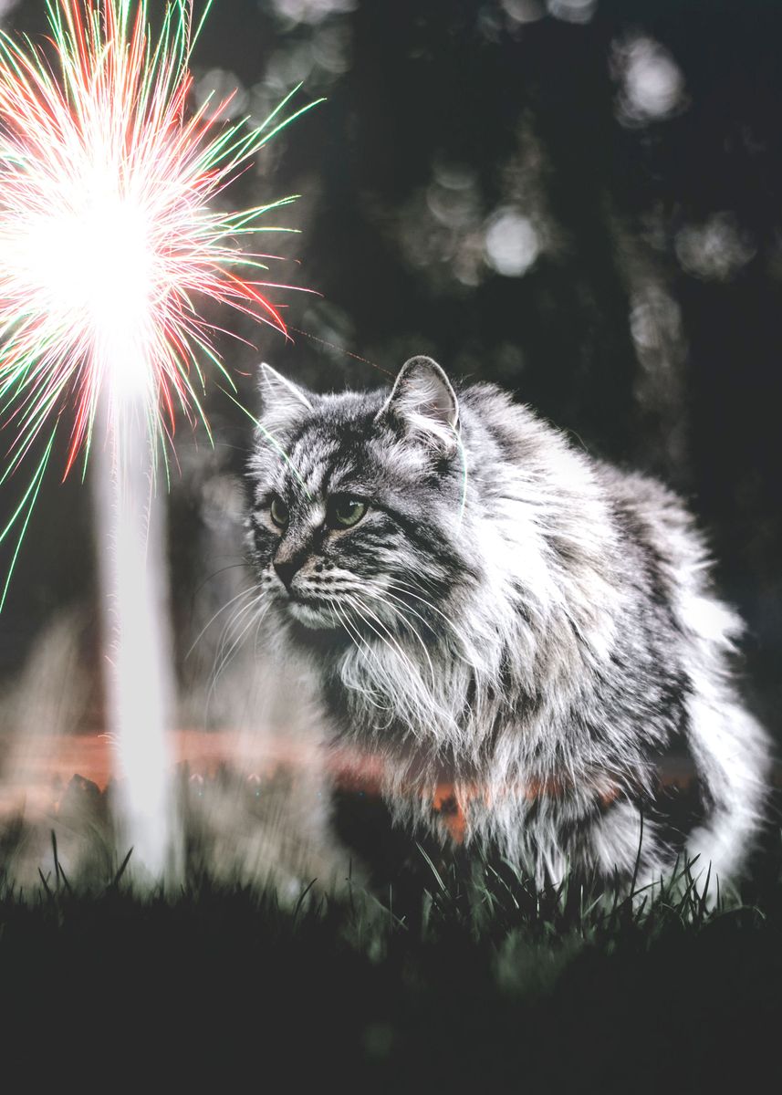 'Bright Cat' Poster, picture, metal print, paint by Usama Nehal | Displate