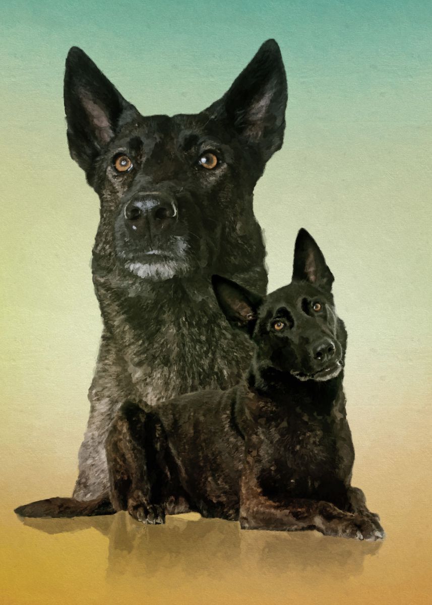 'Dutch Shepherd - Dutchie' Poster by Lioudmila Perry | Displate