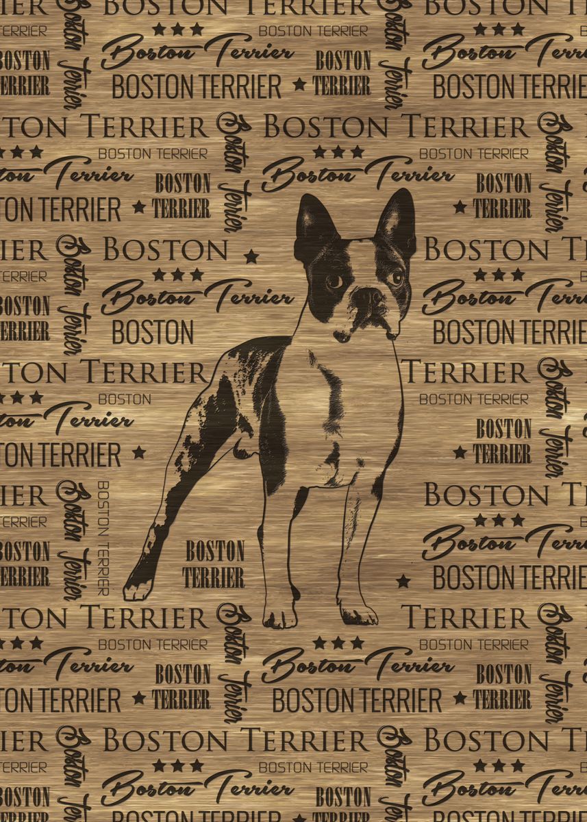 'Boston Terrier dog' Poster by Lioudmila Perry | Displate
