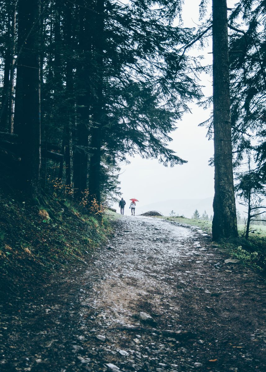 'Blue Rainy Day' Poster, picture, metal print, paint by Patrycja ...