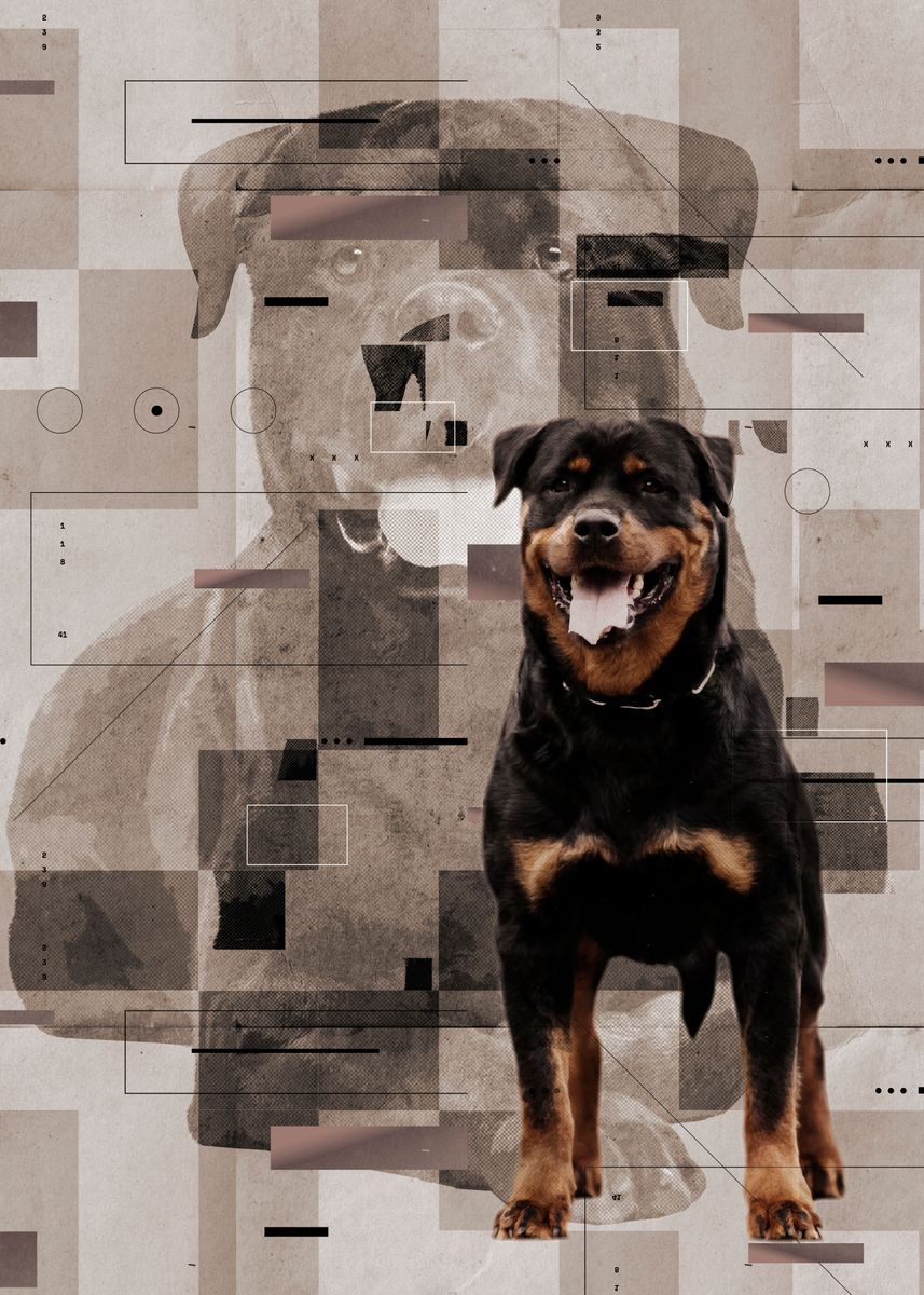 'Rottweiler - Metzgerhund ' Poster by Lioudmila Perry | Displate