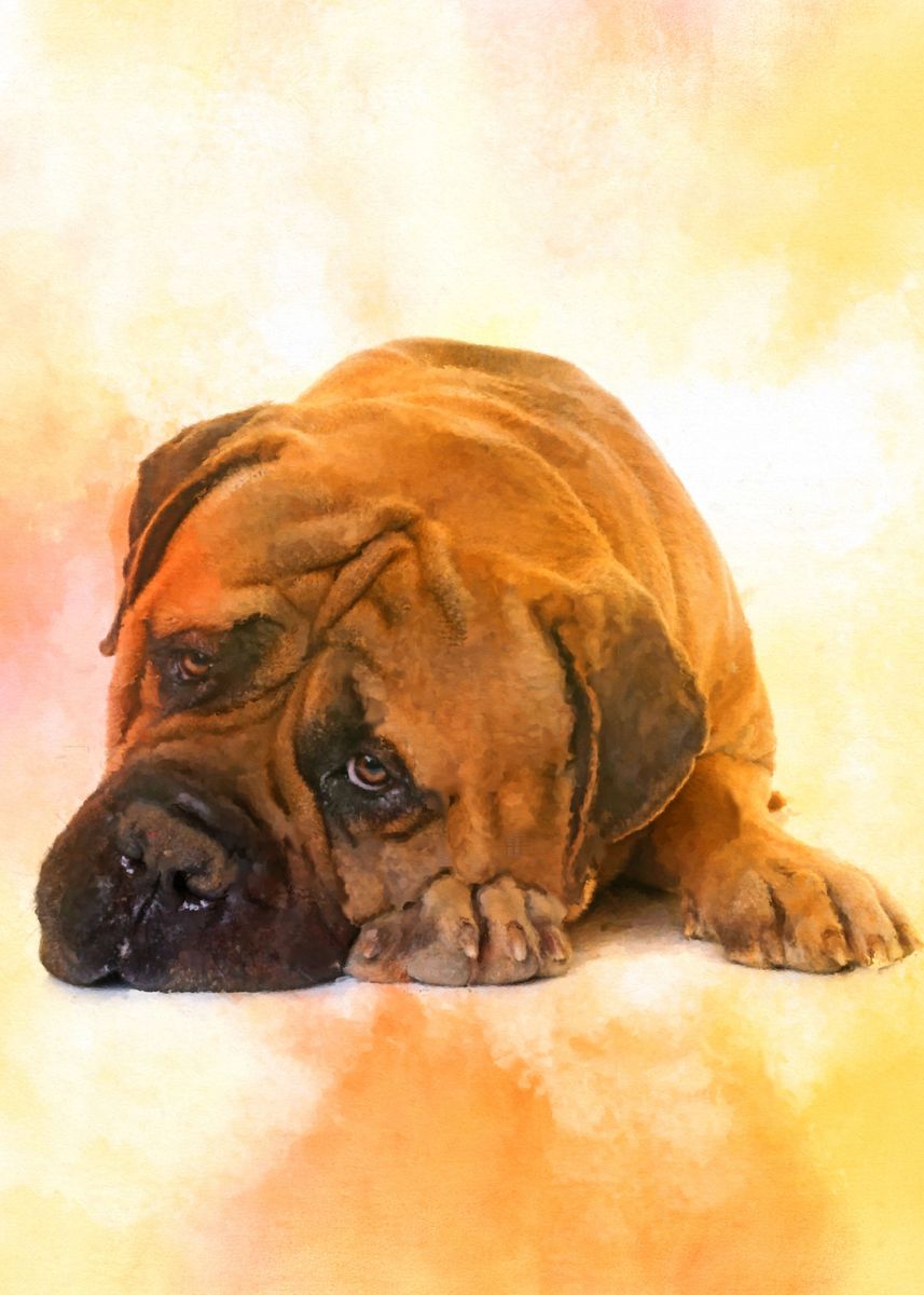 'Bullmastiff' Poster, picture, metal print, paint by Lioudmila Perry ...