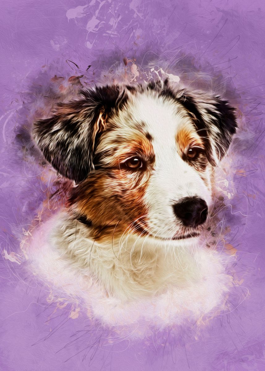 'Australian Shepherd' Poster, picture, metal print, paint by Lioudmila ...