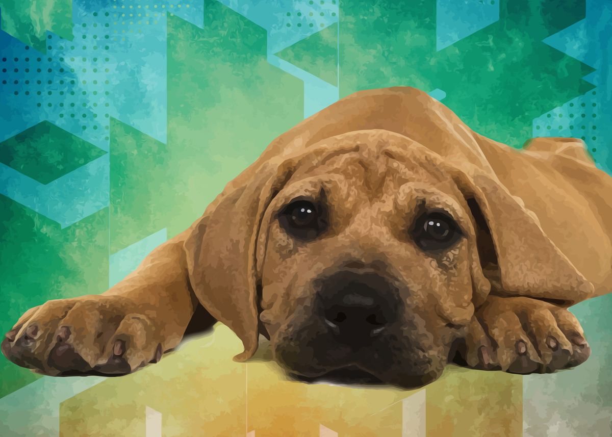 'Boerboel puppy' Poster by Lioudmila Perry | Displate