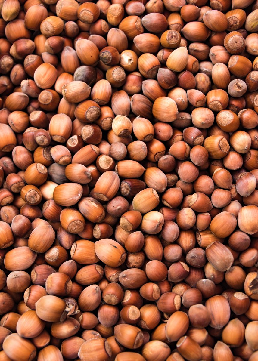 'Hazelnuts' Poster, picture, metal print, paint by Svetlana Sewell ...