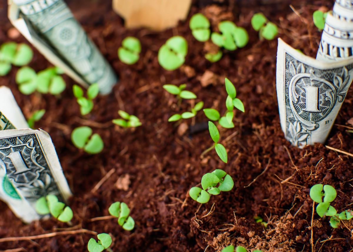 'Growing Money' Poster by Mila Araujo | Displate