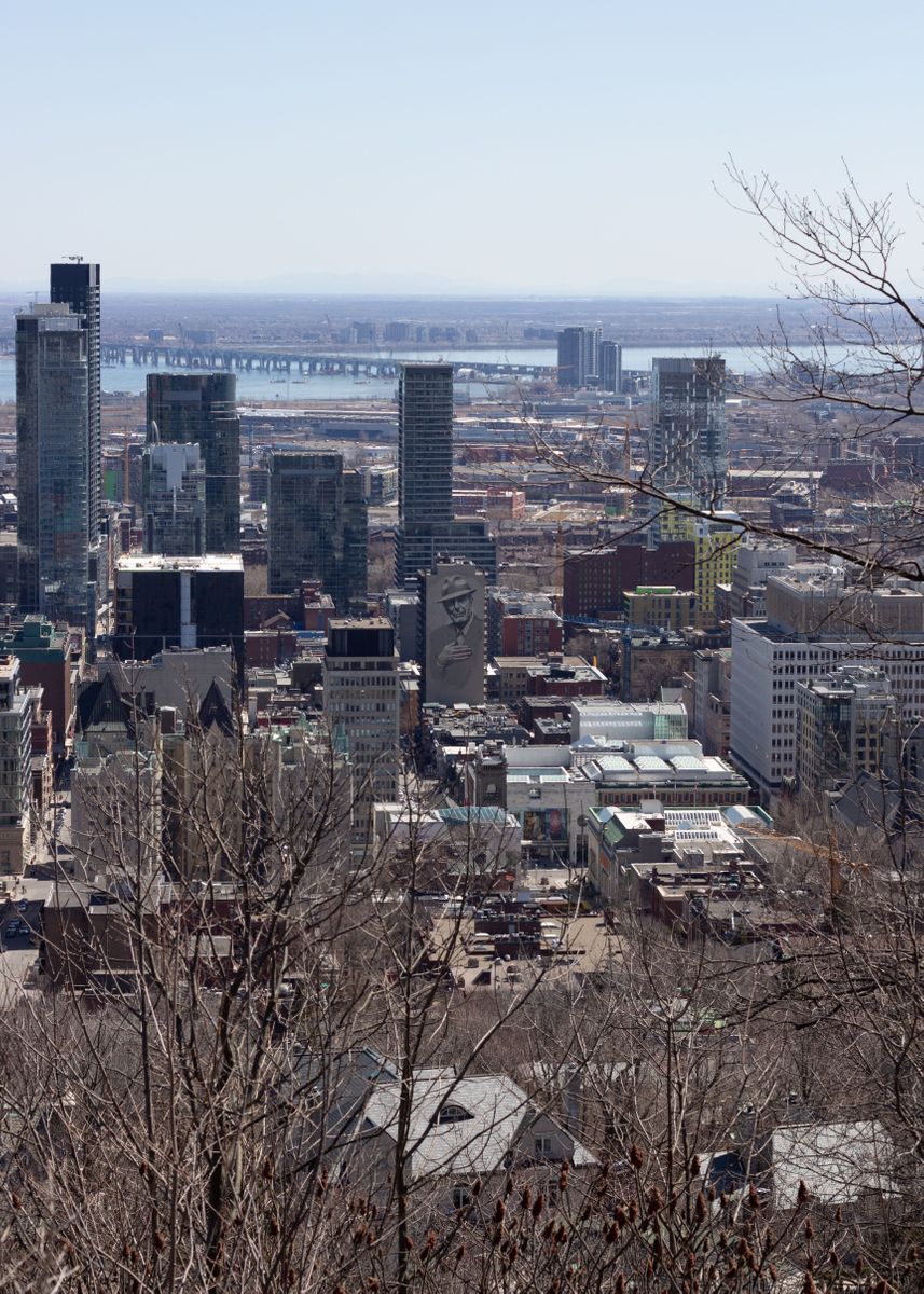 'LC' Poster, picture, metal print, paint by Gabriel Prenovost | Displate