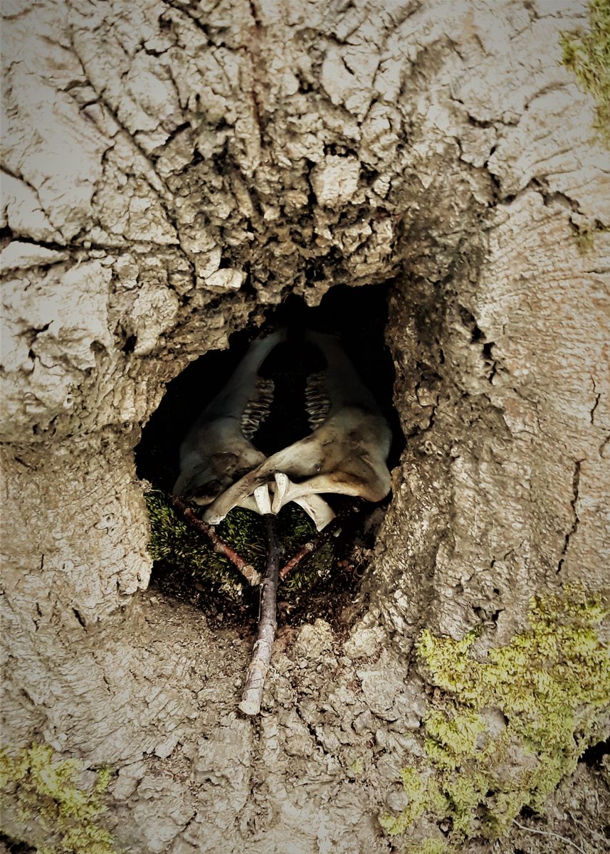 'Algiz Rune' Poster, picture, metal print, paint by Bogdan Andrew ...