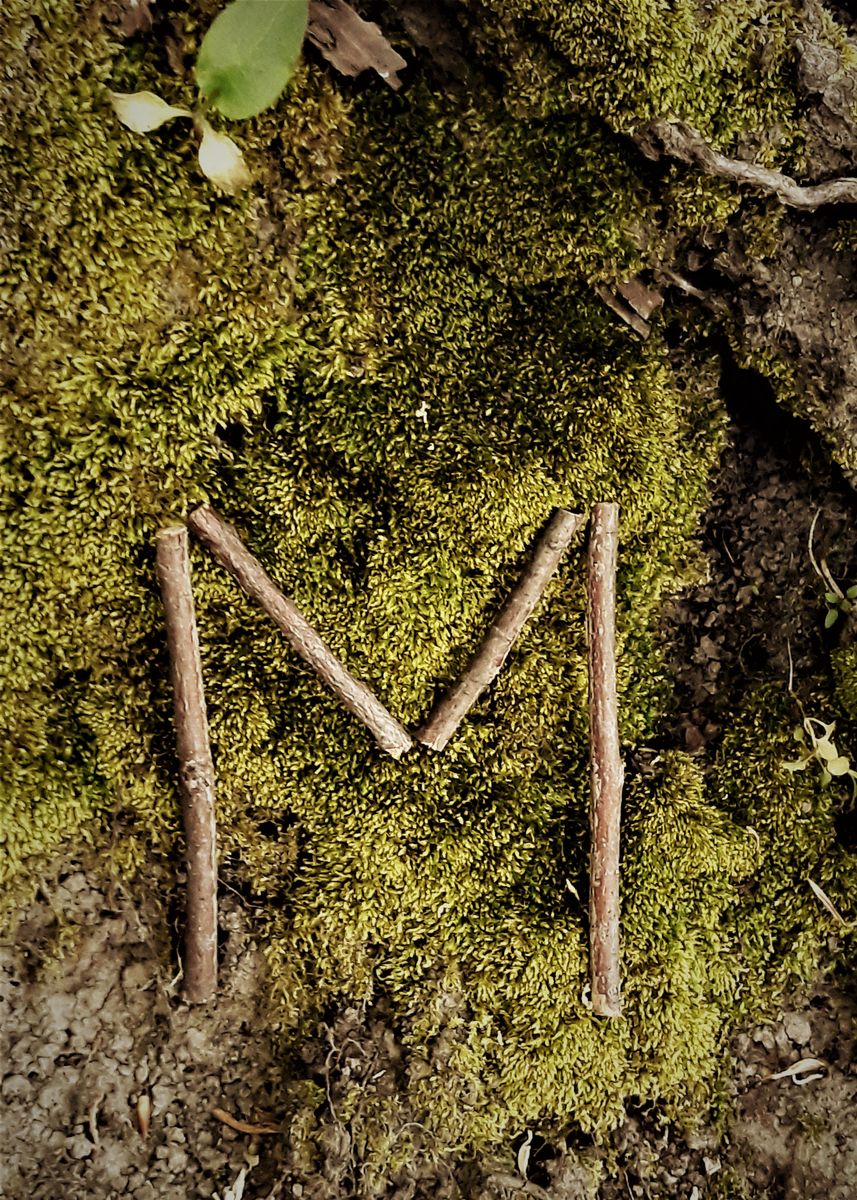 'Ehwaz Rune ' Poster, picture, metal print, paint by Bogdan Andrew ...