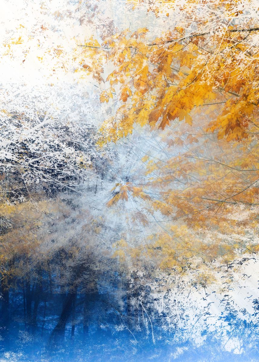 'The splintered light' Poster by Shammie Designs | Displate