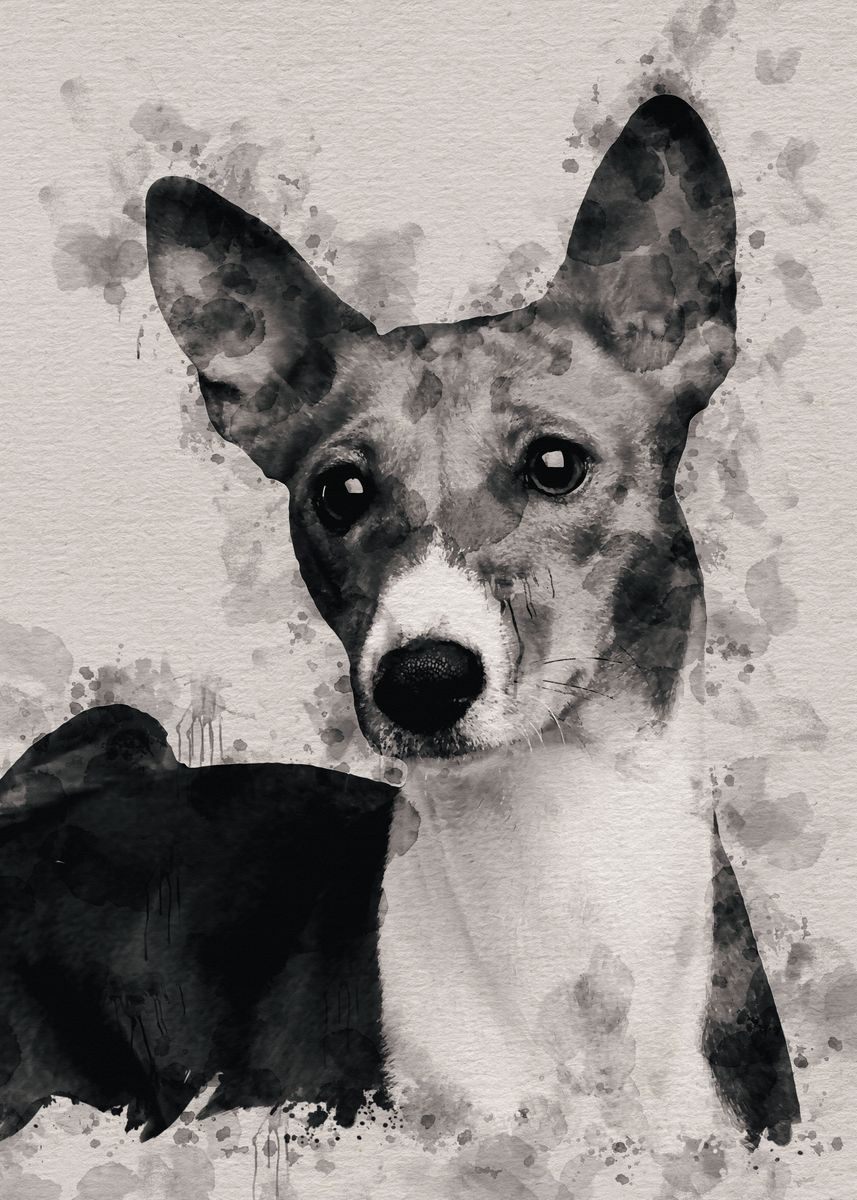 'Basenji' Poster by Lioudmila Perry | Displate