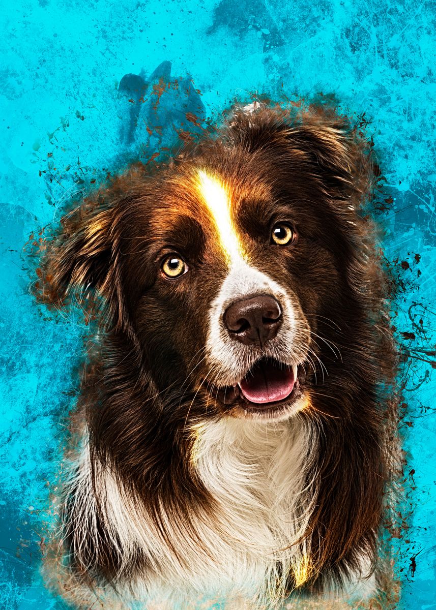 'Border Collie' Poster by Lioudmila Perry | Displate