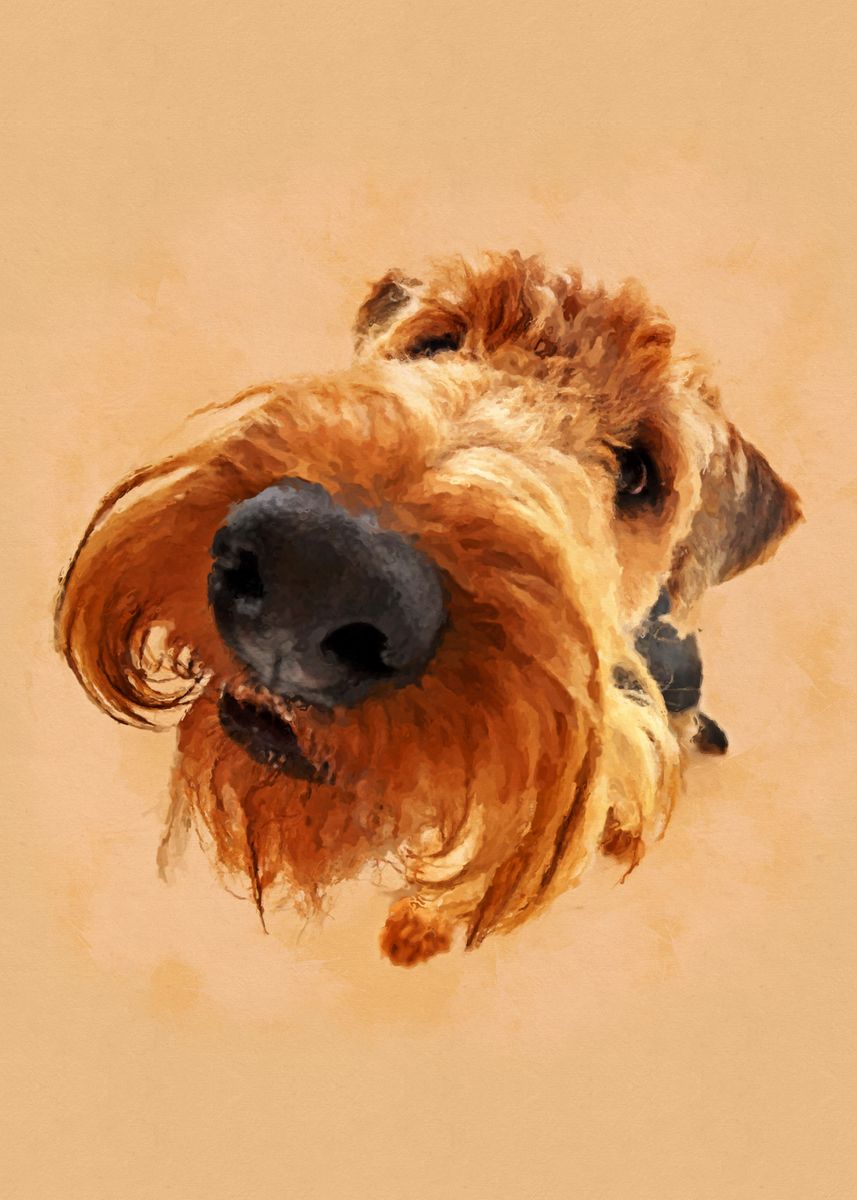 'Funny Airedale Terrier' Poster by Lioudmila Perry | Displate